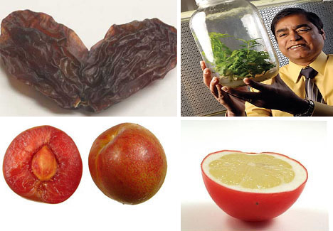 7 Intriguing Genetically Modified Fruits & Veggies - WebEcoist