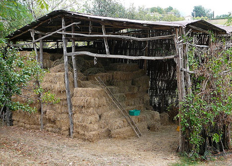 22 Things You Didn't Know You Could Compost - WebEcoist