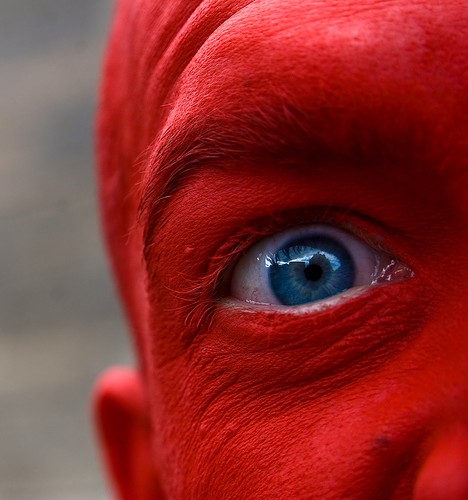 Well Red: 10 Amazing Red Animals - WebEcoist