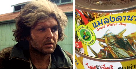 Buzz Killers: 10 Of The World's Biggest, Baddest Bugs - WebEcoist