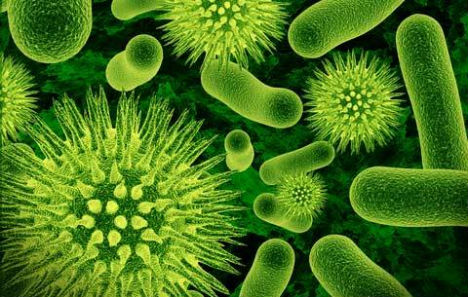 Beneficial Bacteria: 12 Ways Microbes Help The Environment - WebEcoist