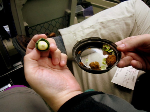 Crunch Time: The World's 9 Most Unusual Nuts - WebEcoist