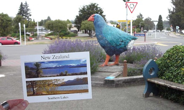 8 Amazing Lazarus Species We Thought Were Extinct - WebEcoist