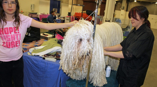 Perm Whales: 7 Amazing Unexpected Curly-Haired Animals - Page 3 of 3 ...