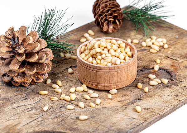 Pine Dining: 7 Amazing Edible Evergreen Foods and Drinks - WebEcoist