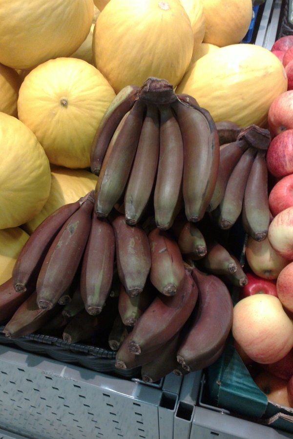 Yellow Fever Reliever: 7 Blight-Resistant Bananas - WebEcoist