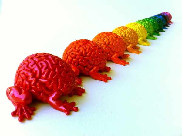 Jumping Brains: The Smartest Frogs In The Room - WebEcoist