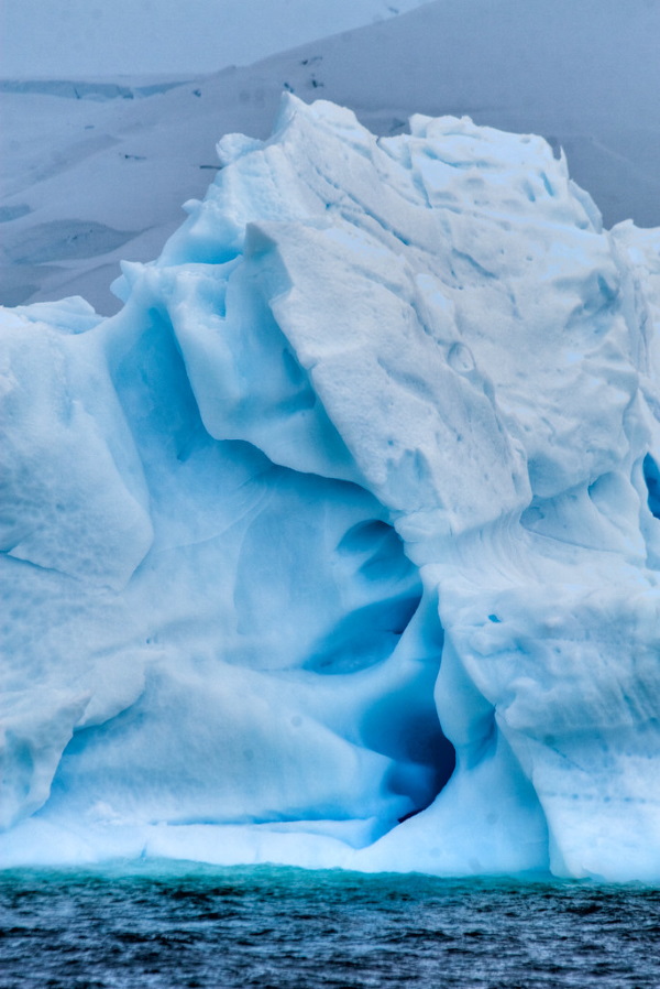 Ice Can See You: 7 Amazing Cold & Creepy Iceberg Faces - WebEcoist