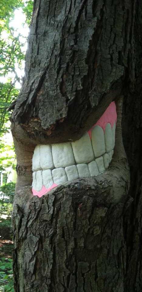 Bark With Bite: The Toothy Tree Art Of Patrick Catalde - WebEcoist
