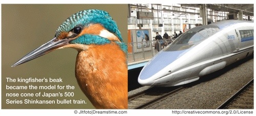 Nature's Wisdom: 9 Brilliant Examples of Biomimicry in Design - WebEcoist