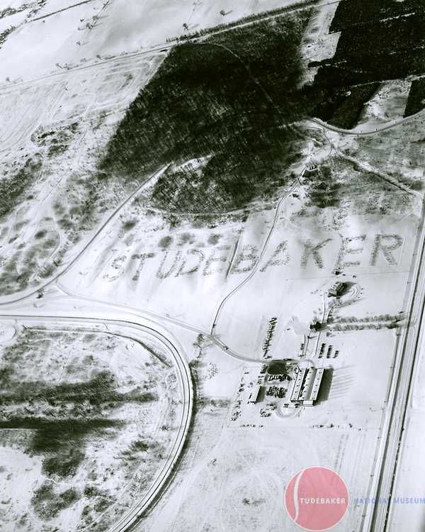 White Pine Fever: The Studebaker Tree Sign - WebEcoist