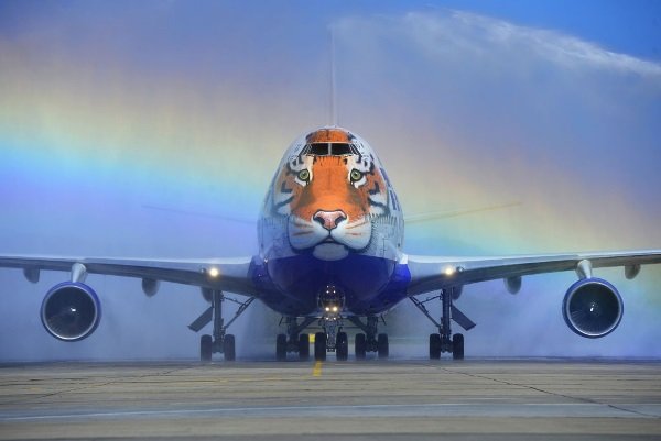 Tiger Face Jet Supports Endangered Big Cats - WebEcoist