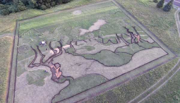 Van Grow: Artist Plants Crop Art Masterpiece - WebEcoist