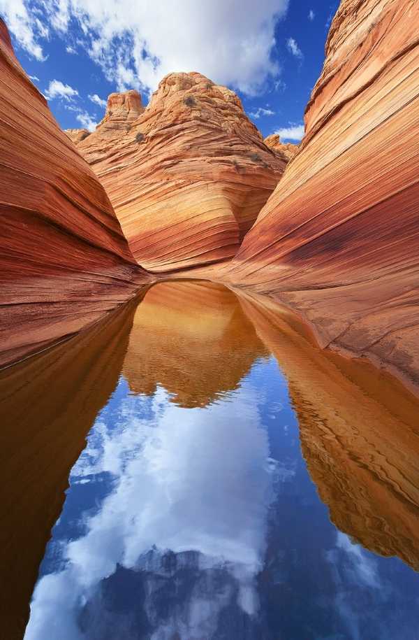 Rock The Wave: A Sandstone Sea In Arizona - WebEcoist
