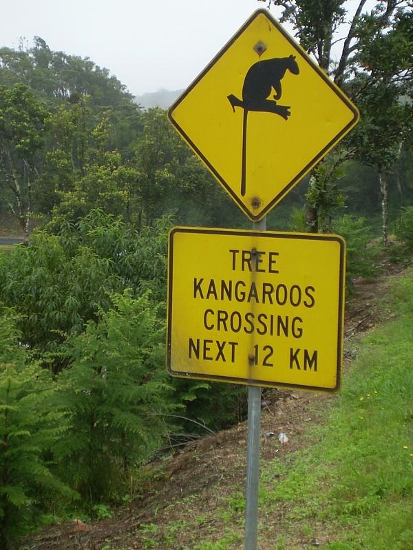 Koalified: 7 Amazing Australian Animal Crossing Signs - WebEcoist