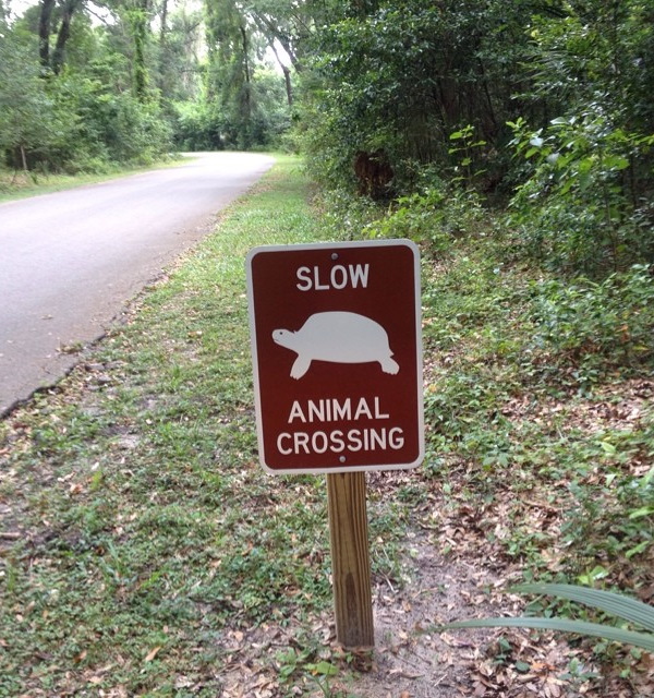 Eclectic Avenue: 10 Weird Animal Crossing Signs - WebEcoist