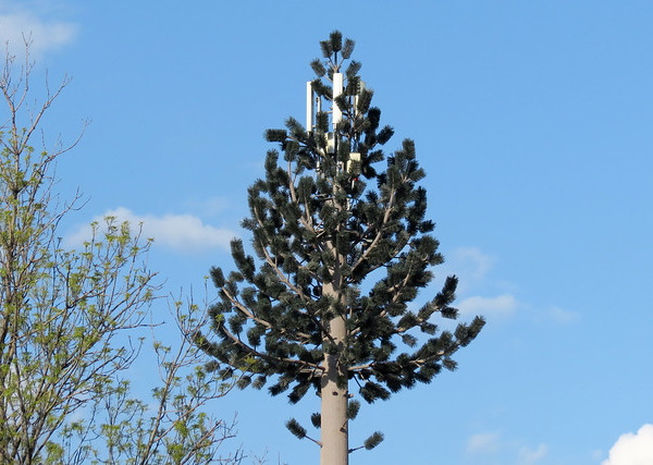 Fronds With Benefits: 10 Artificial Cellular Tower Trees - WebEcoist
