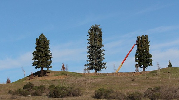 Fronds With Benefits: 10 Artificial Cellular Tower Trees - WebEcoist