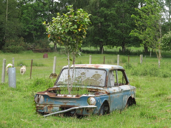 Power Plants: 10 More Overgrown Abandoned Vehicles - WebEcoist