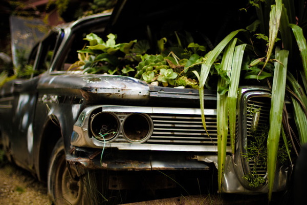 Power Plants: 10 More Overgrown Abandoned Vehicles - WebEcoist