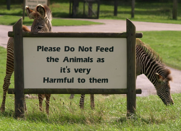 Crunch Time: 10 'Do Not Feed The Animals' Zoo Signs - WebEcoist