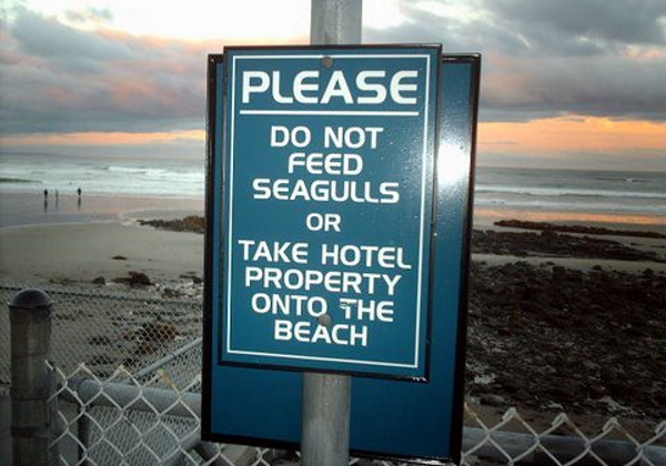 Sandy Clauses: 10 Bonkers Beach Rules Signs - WebEcoist