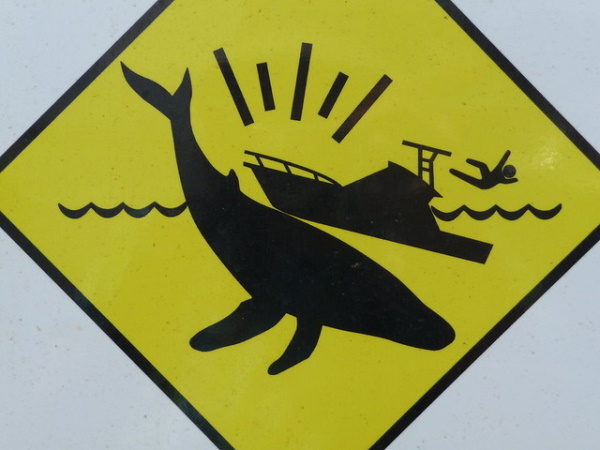 Figure Fear: 10 Environmental Stick Figure Warning Signs - WebEcoist