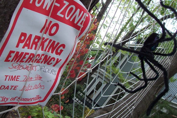 Web Beware: 7 Fang-tastic Spider Signs - WebEcoist