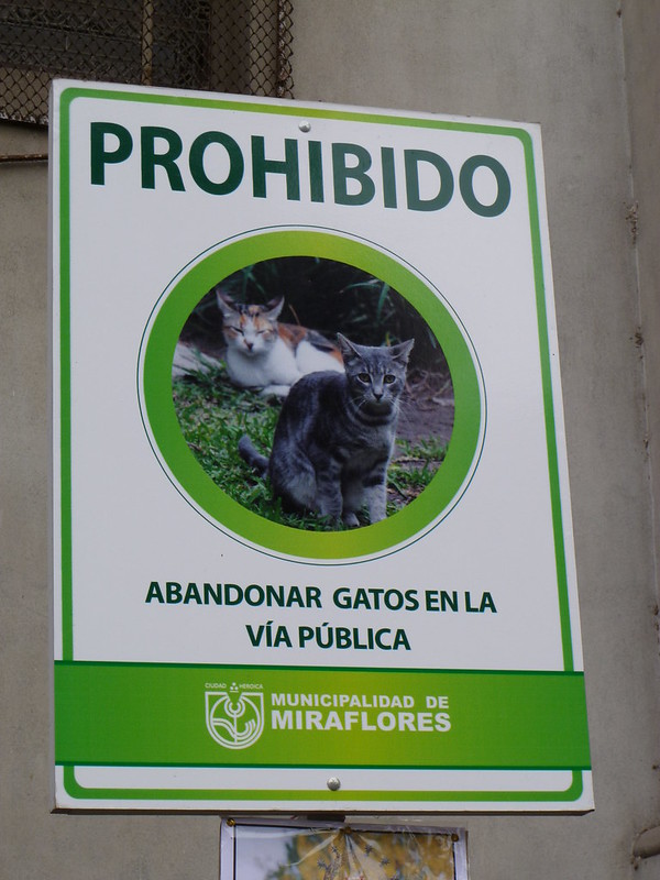 Off Fence: 8 Way Out There 'Stray Animals' Signs - WebEcoist