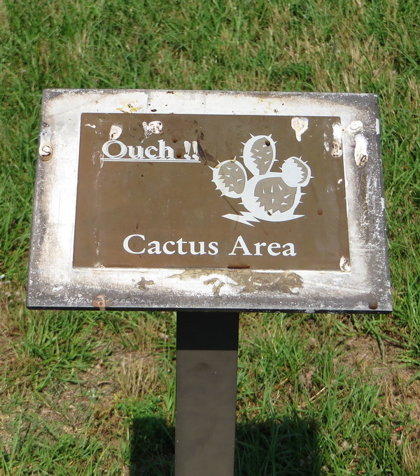 Prickly Wiggly: 10 Spine-Tingling Cactus Warning Signs - WebEcoist